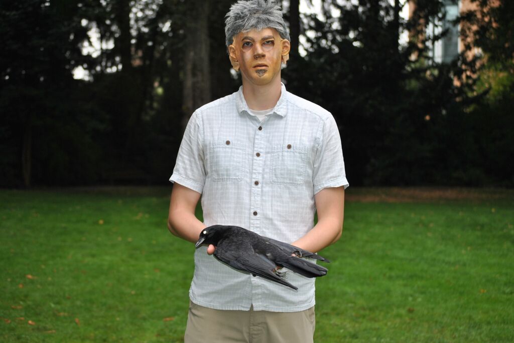 The mysterious secret of ‘crow funerals’ finally revealed - Animalogic