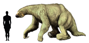 North America’s forgotten megafauna - Animalogic