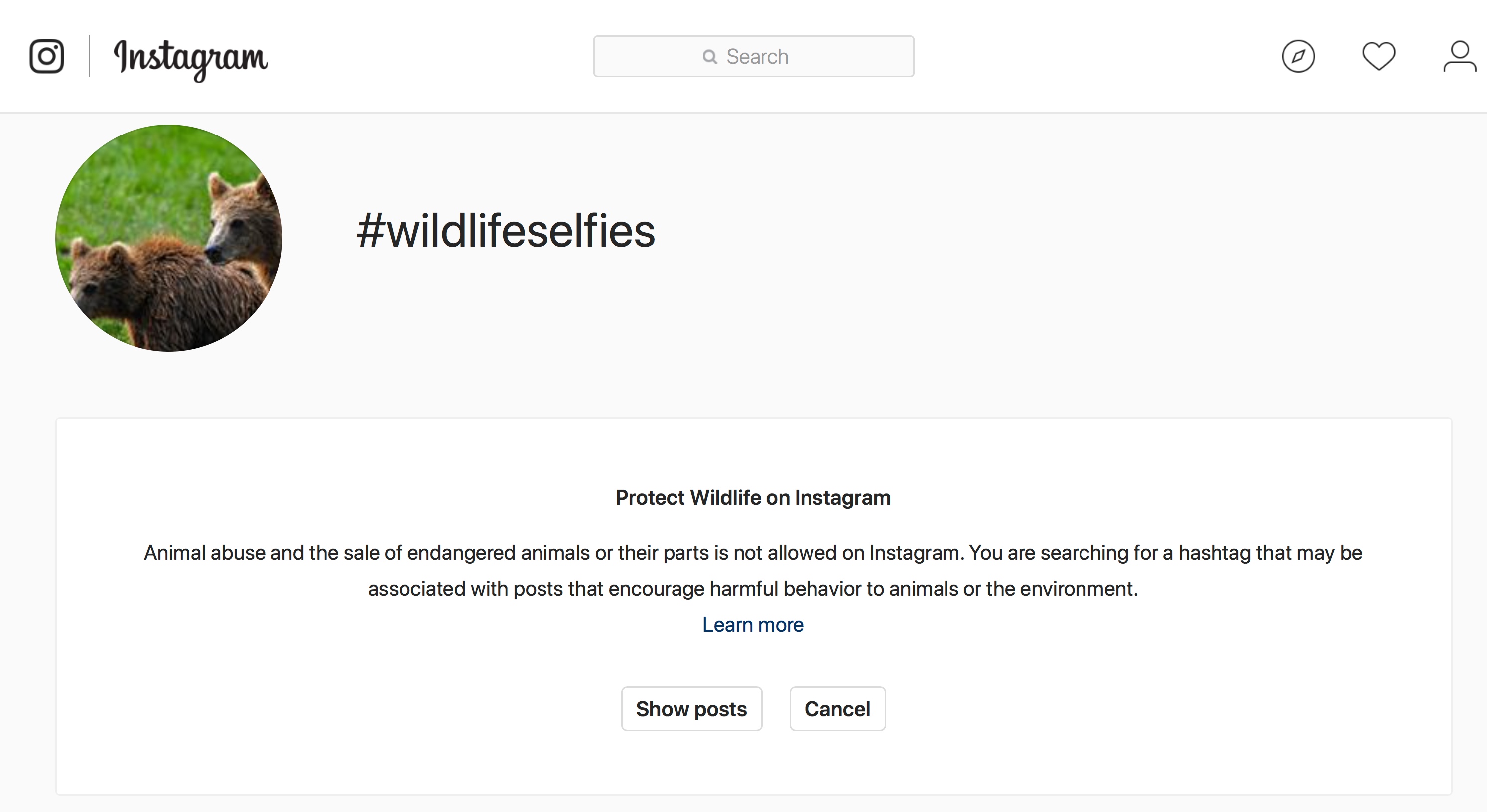 Social media is bad news for the ethical treatment of animals - Animalogic